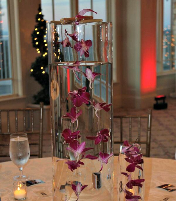 floating orchids - Cedar Grove GardensCedar Grove Gardens